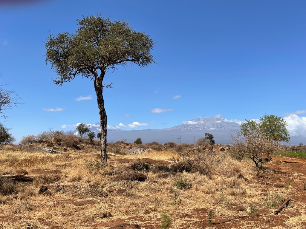 Promise Land Kenya – Mission Journal